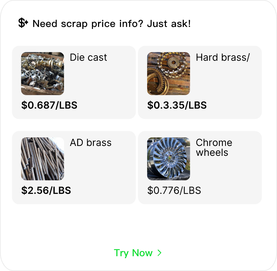 Doctor Scrap